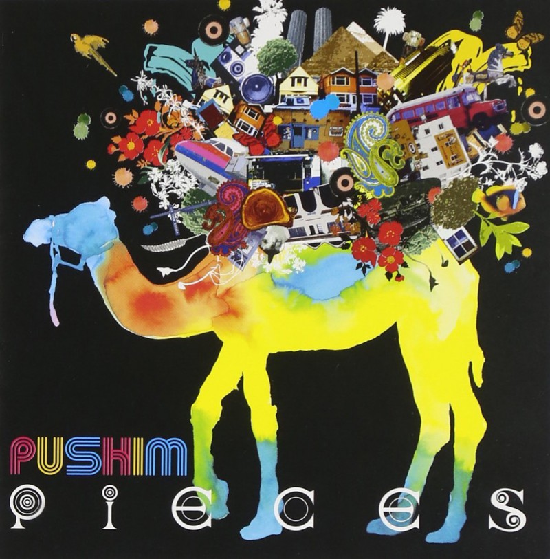 PUSHIM Official Web Site | DISCO